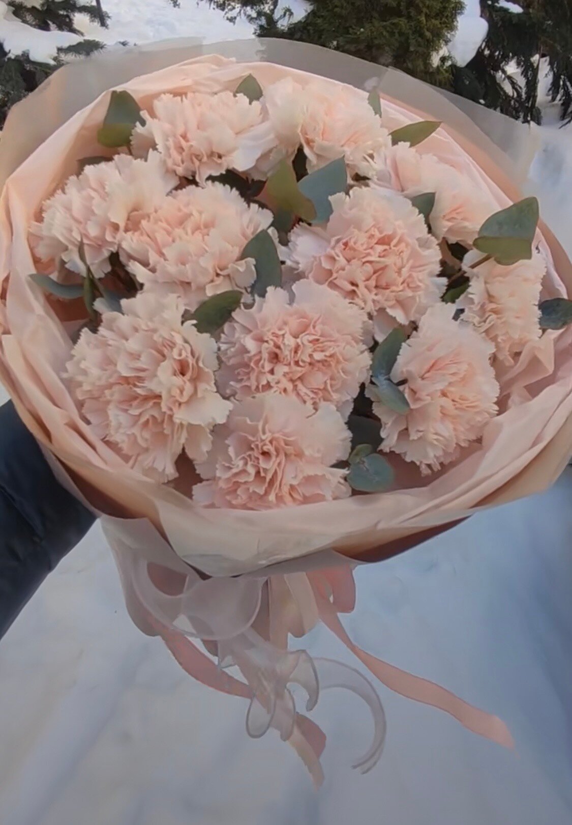 Букет "Зефирные диантусы", 11 цветов, на стеблях, высота 60 см, в коробке