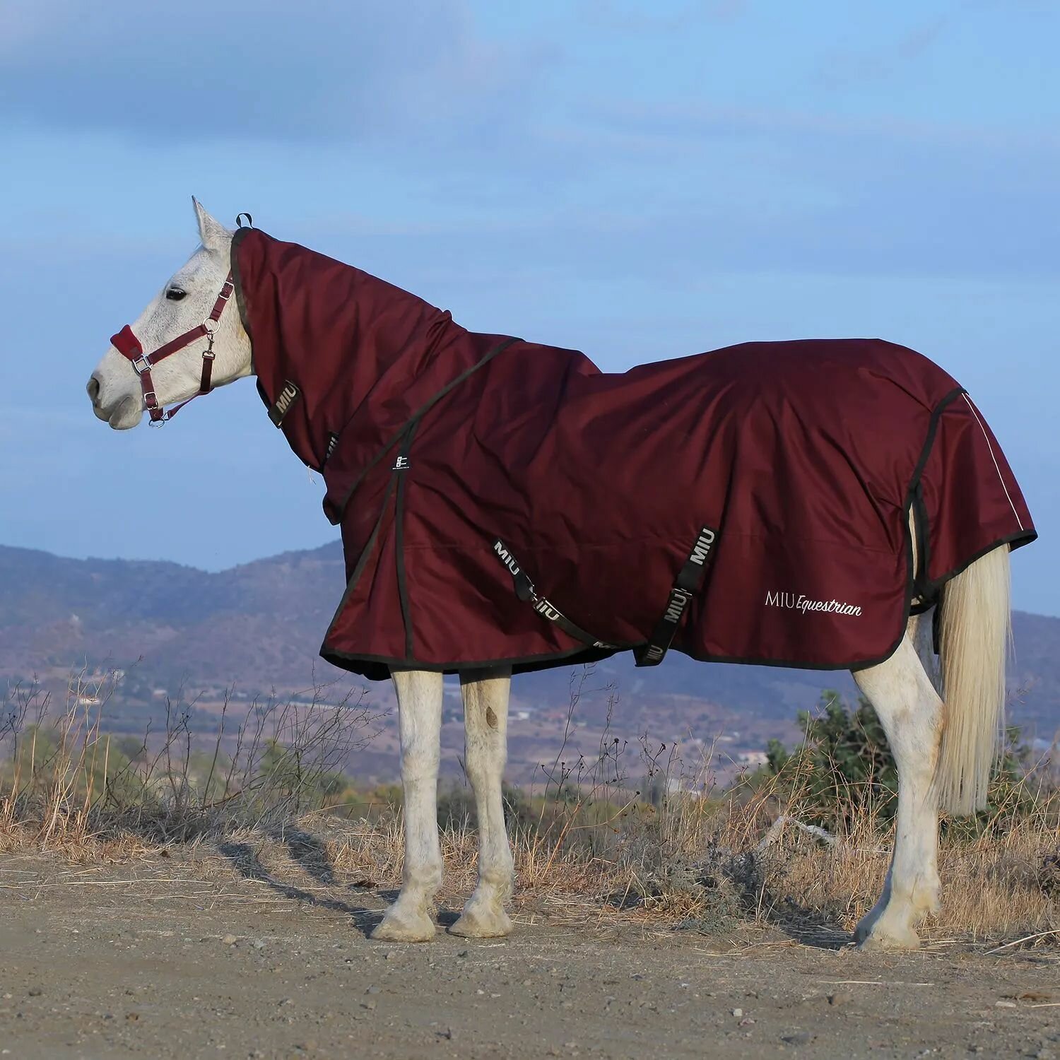 Попона для лошади прогулочная дождевая с капором (155) без утеплителя
