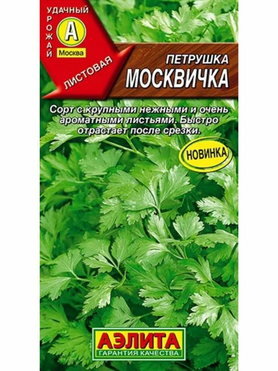 Петрушка листовая Москвичка 2 г, сорт с крупными нежными и очень ароматными листьями, быстро отрастает после срезки