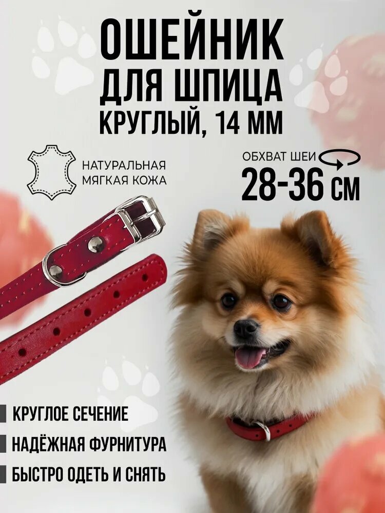 Ошейник 14 мм круглый для шпица (28-36 см) красный