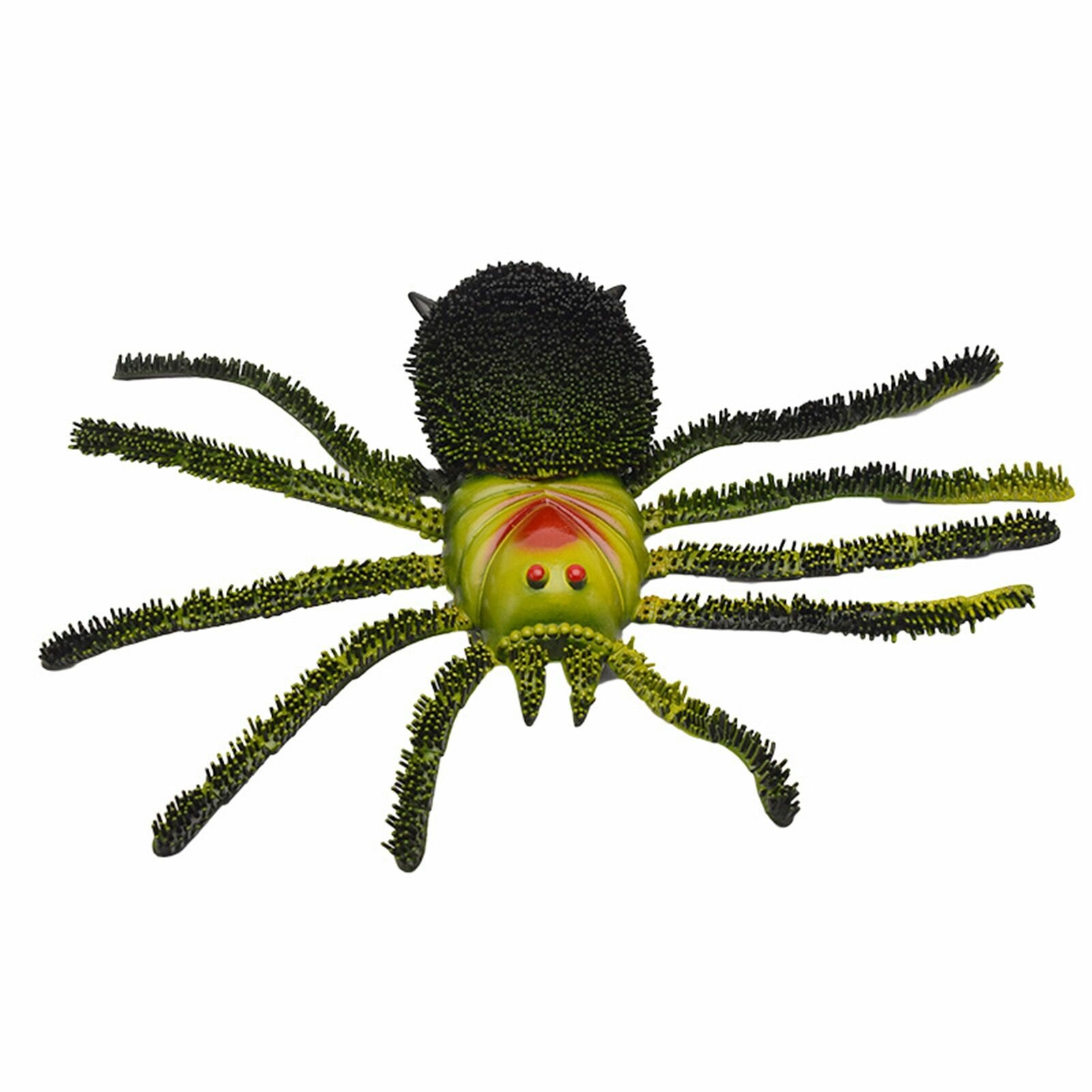Модель паука, реалистичная, обучающая, ясельный
