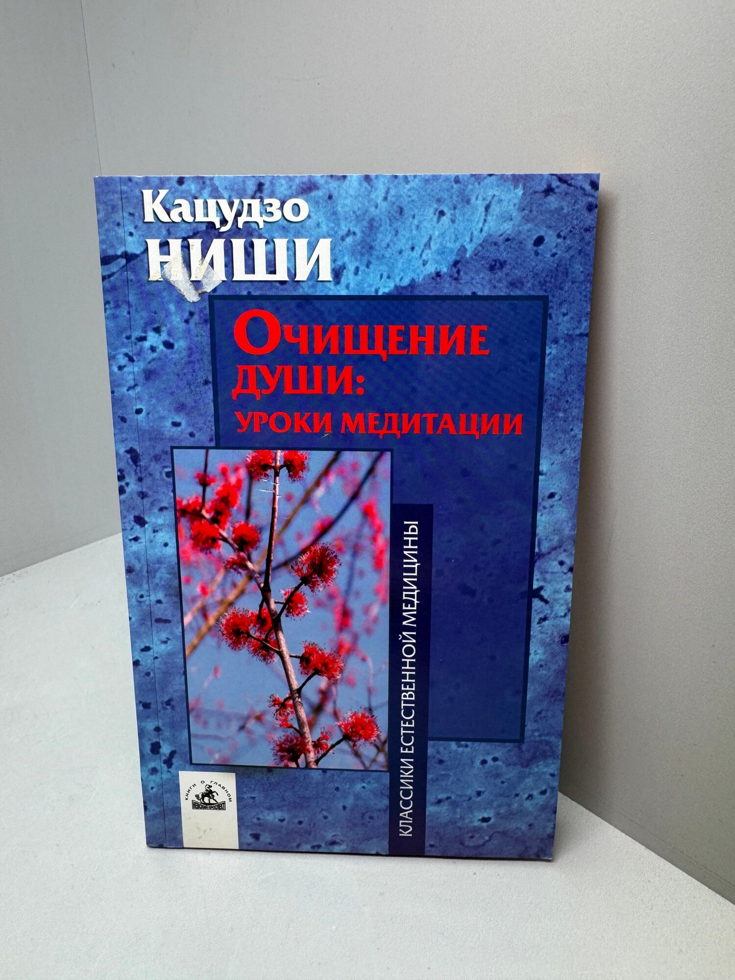 Очищение души: уроки медитации. Курс лекций и практических занятий