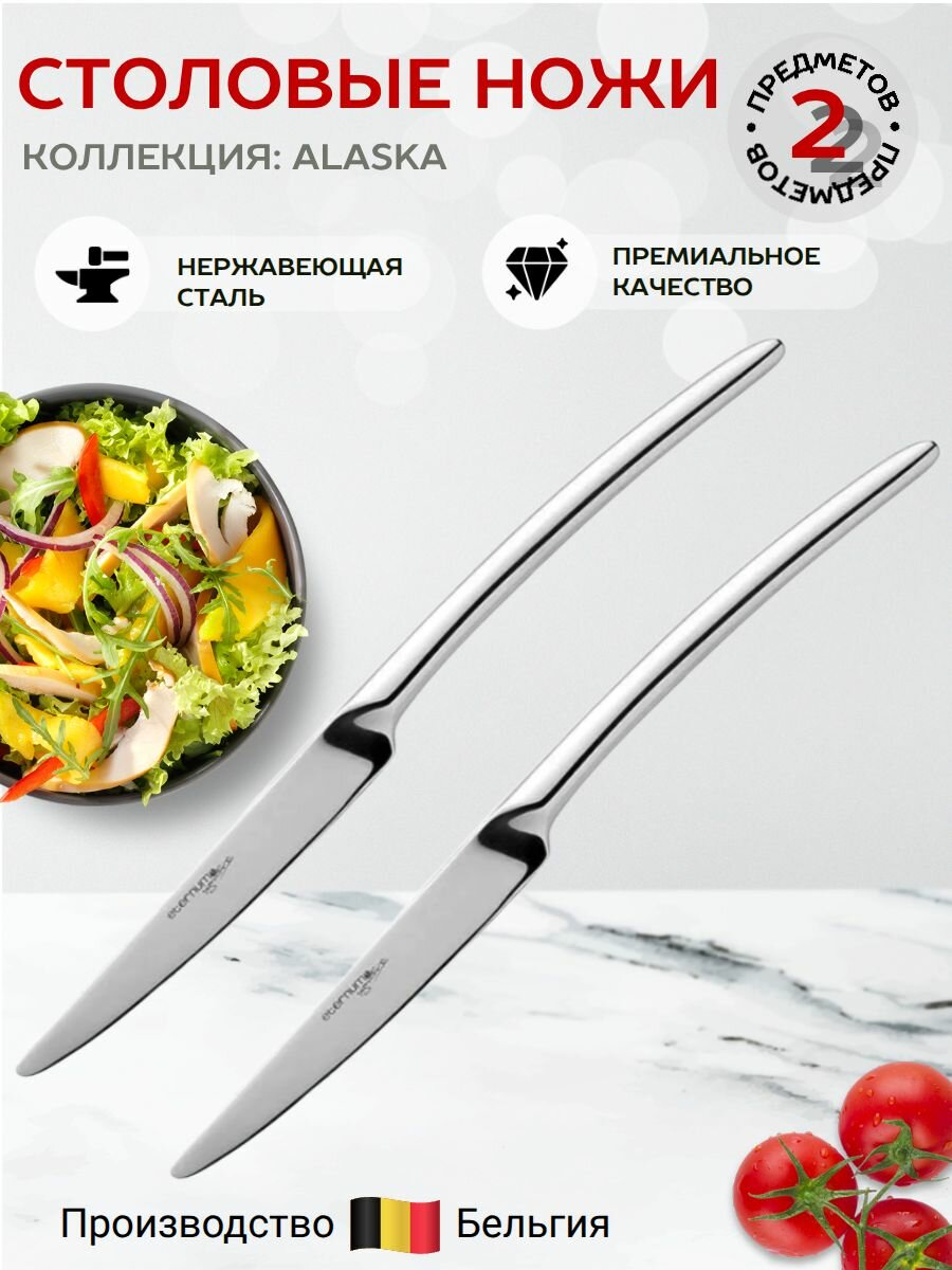 2 столовых ножа Eternum Alaska сталь