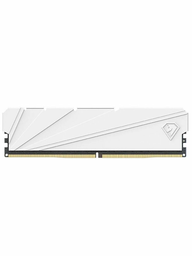 Оперативная память Netac NTSSD4P32SP-08W 8ГБ, DDR4, UDIMM, 3200 МГц, CL16