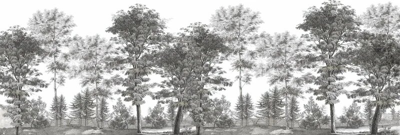 Beibehang шелковые обои американское пасторальное черно-белое дерево 159636772, 3D Embossed