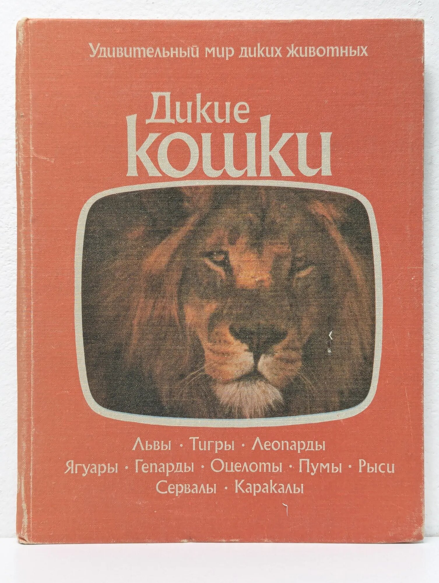 Удивительный мир диких животных. Дикие кошки Банников Андрей Григорьевич (ред.) 1981