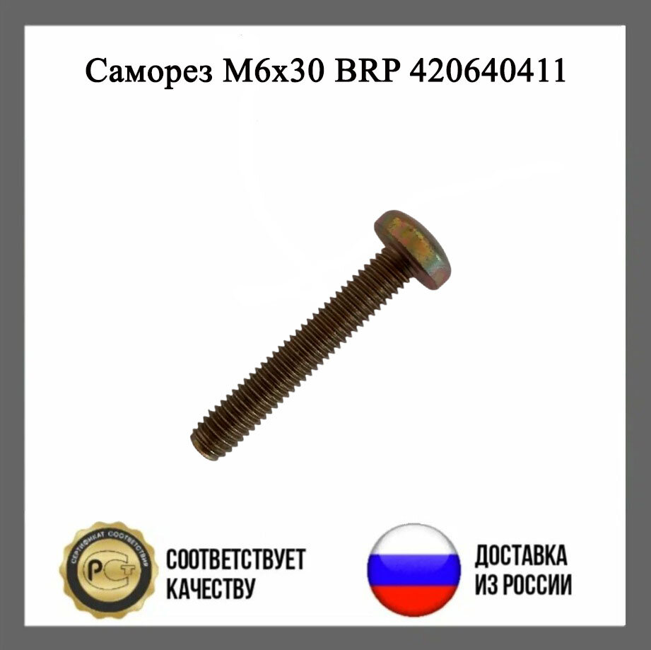 Саморез M6x30 BRP 420640411