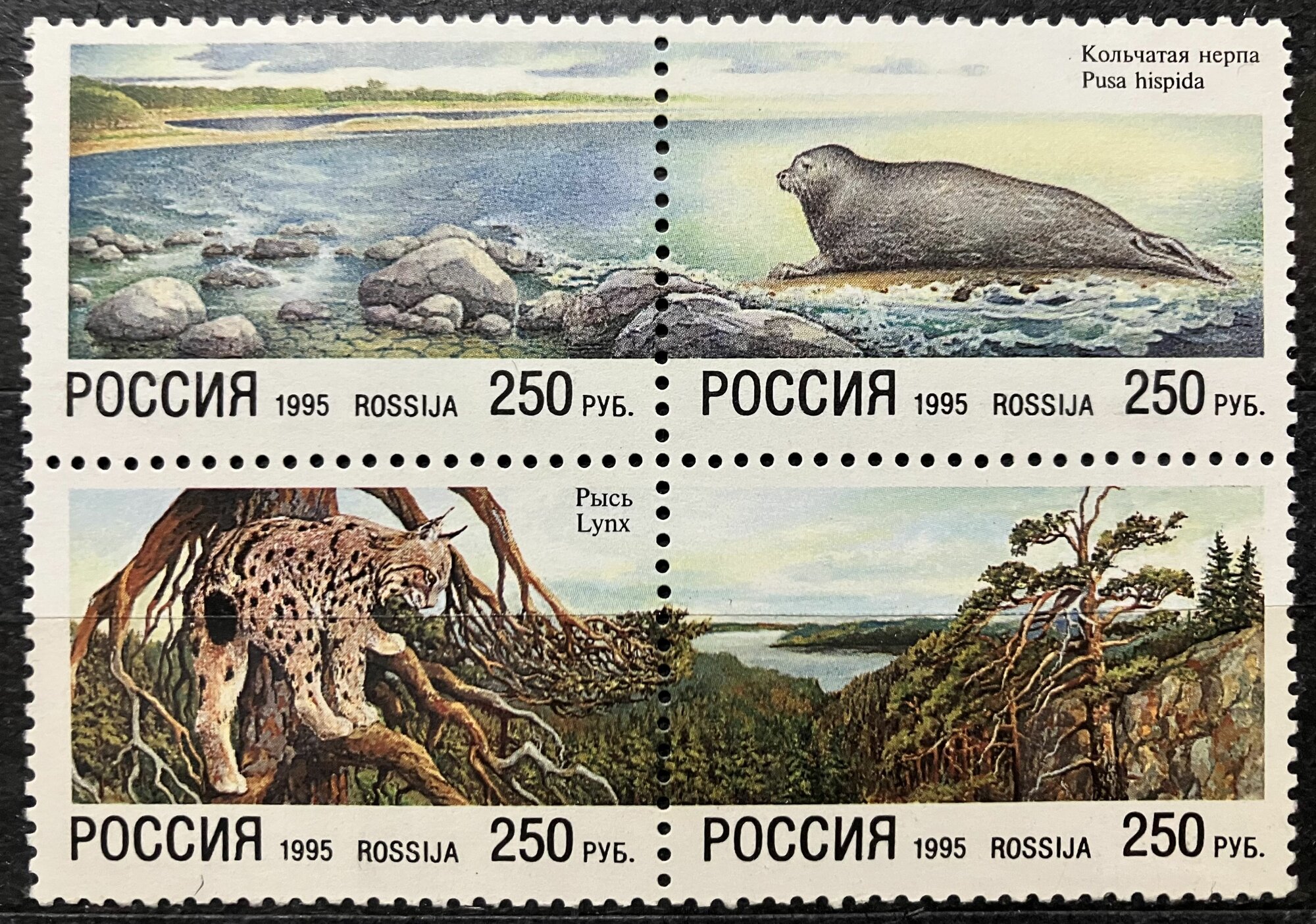 Россия 1995, Флора и Фауна. Природа