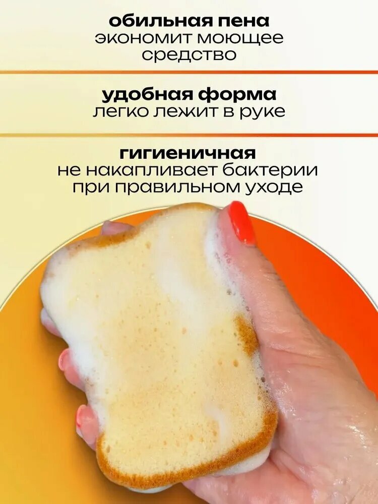 Губка, 2 шт. — фото 1