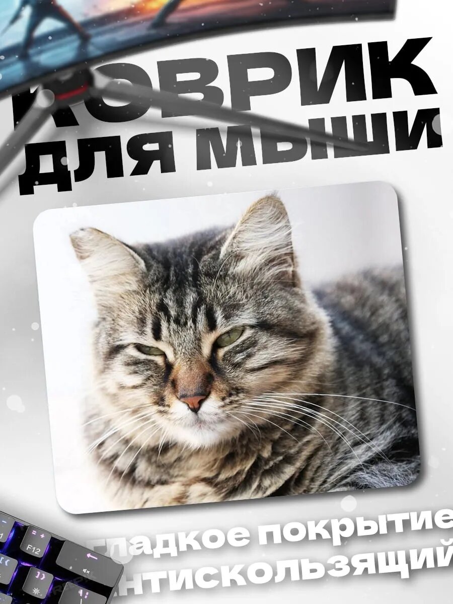 Коврик для мыши портрет кота