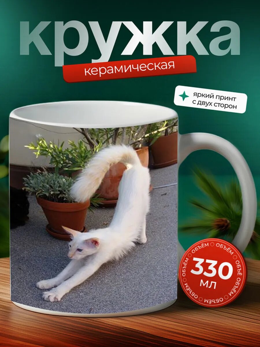 Кружка Килиманджарский искристохвост кот 18,