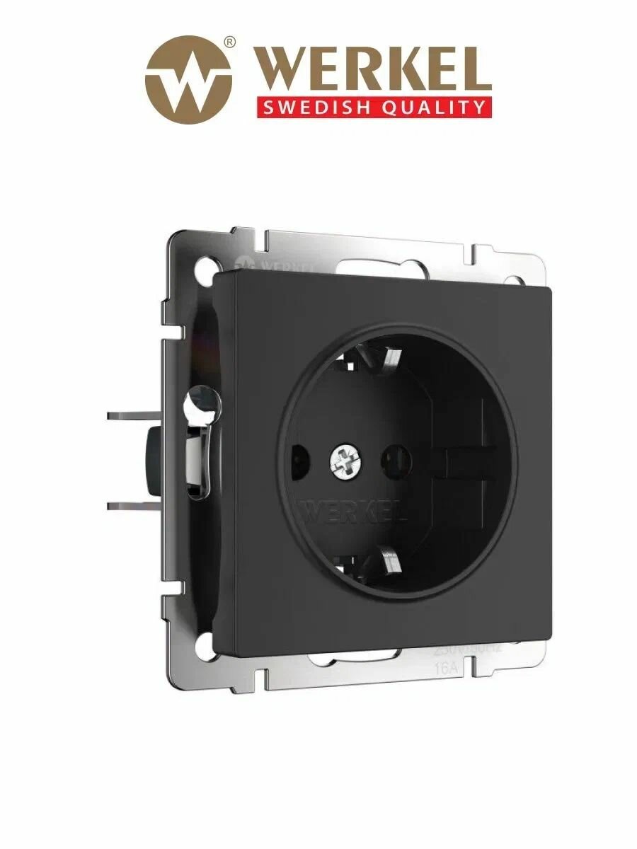 Розетка с заземлением скрытой установки Werkel W1171008 черная матовая