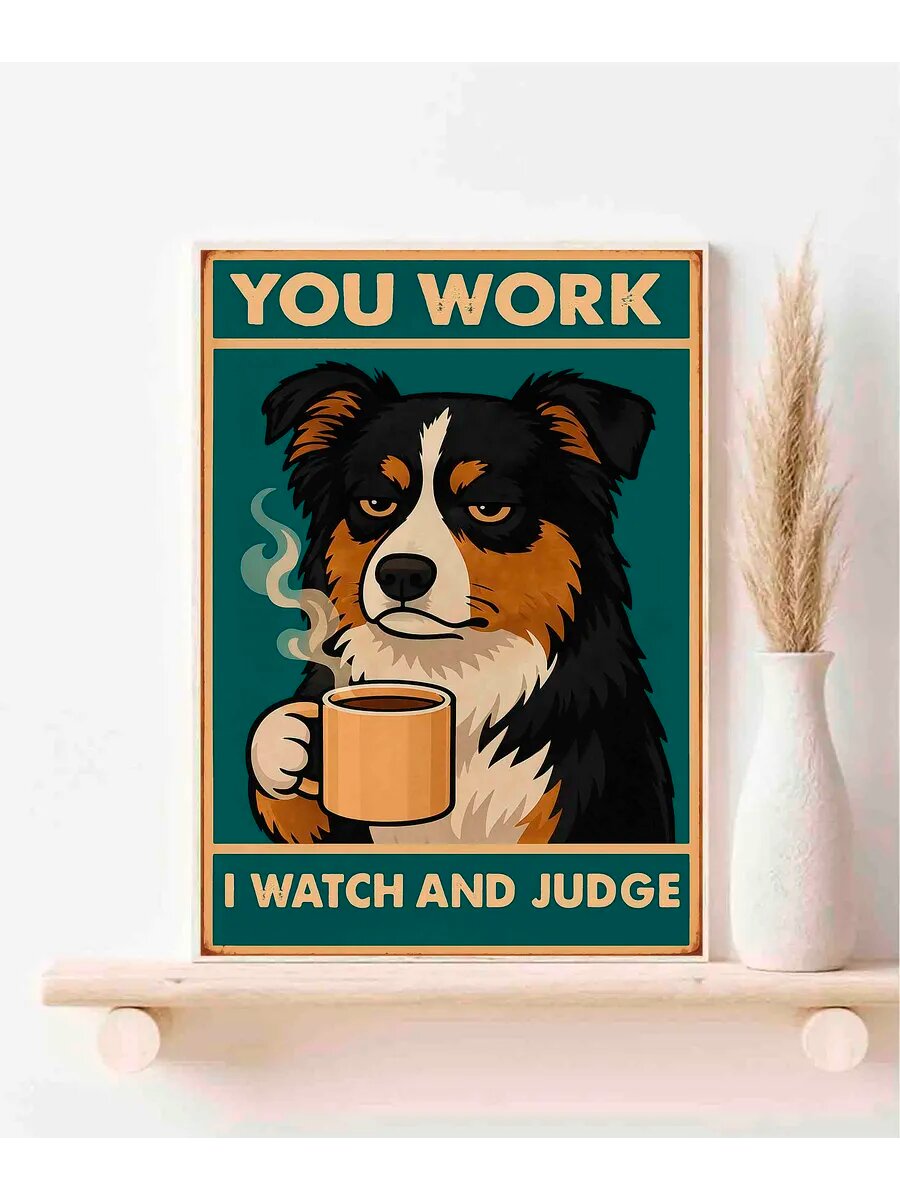 Миниатюрная американская овчарка, You Work I Watch And Judge