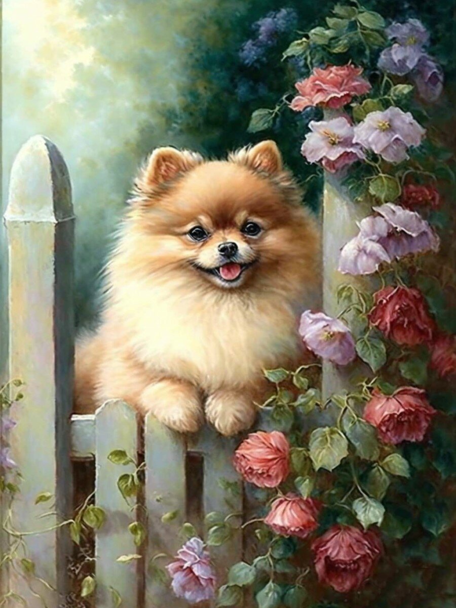 Алмазная мозаика на подрамнике 40x50 см. BoomBoomShop. "Шпиц за забором в цветах"