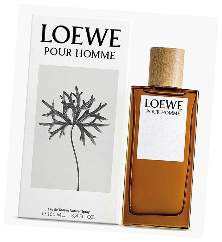 Лоеве Лоев Пур Хомм мужская туалетная вода 100 мл / Loewe Pour Homme