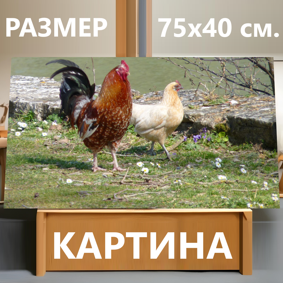 Картина на холсте "Петух, курица, птицы" на подрамнике 75х40 см. для интерьера