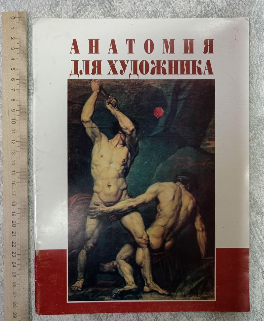 Анатомия для художника