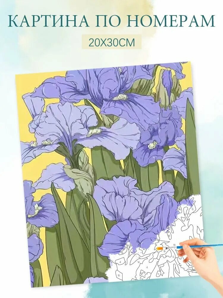Картина по номерам на холсте с без подрамником 20х30 / "Фиолетовый ирис"