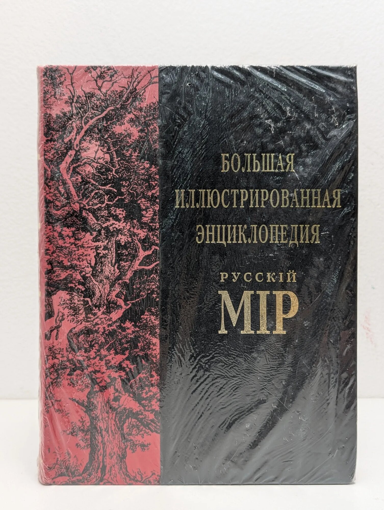 Большая иллюстрированная энциклопедия "Русскiй Мiр". Том 10 Сборник 2008