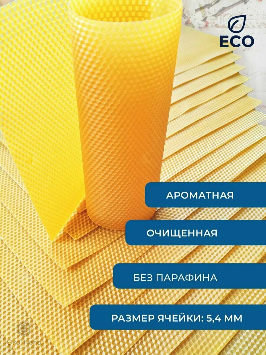 Вощина — фото 1