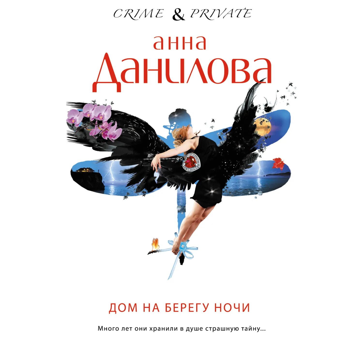 Дом на берегу ночи [Аудиокнига]