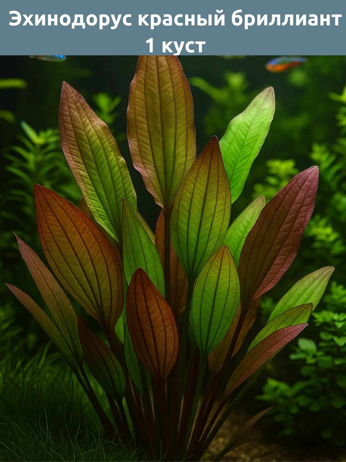 Декорация для аквариума/террариума