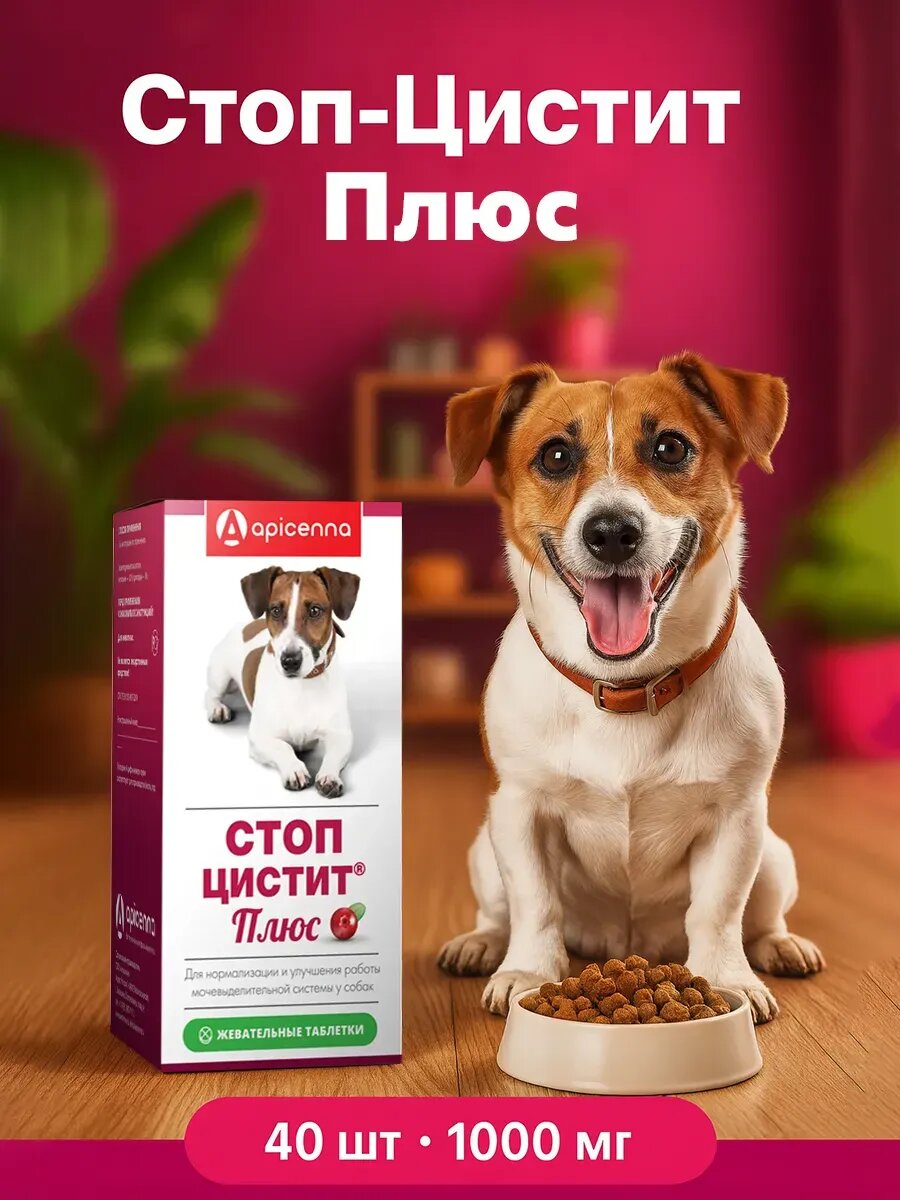 Стоп-цистит Плюс жевательные для собак, 40таб
