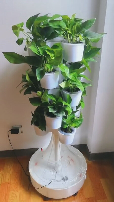 Гидропонная система, для выращивания овощей, прозрачная, без обработки почвы