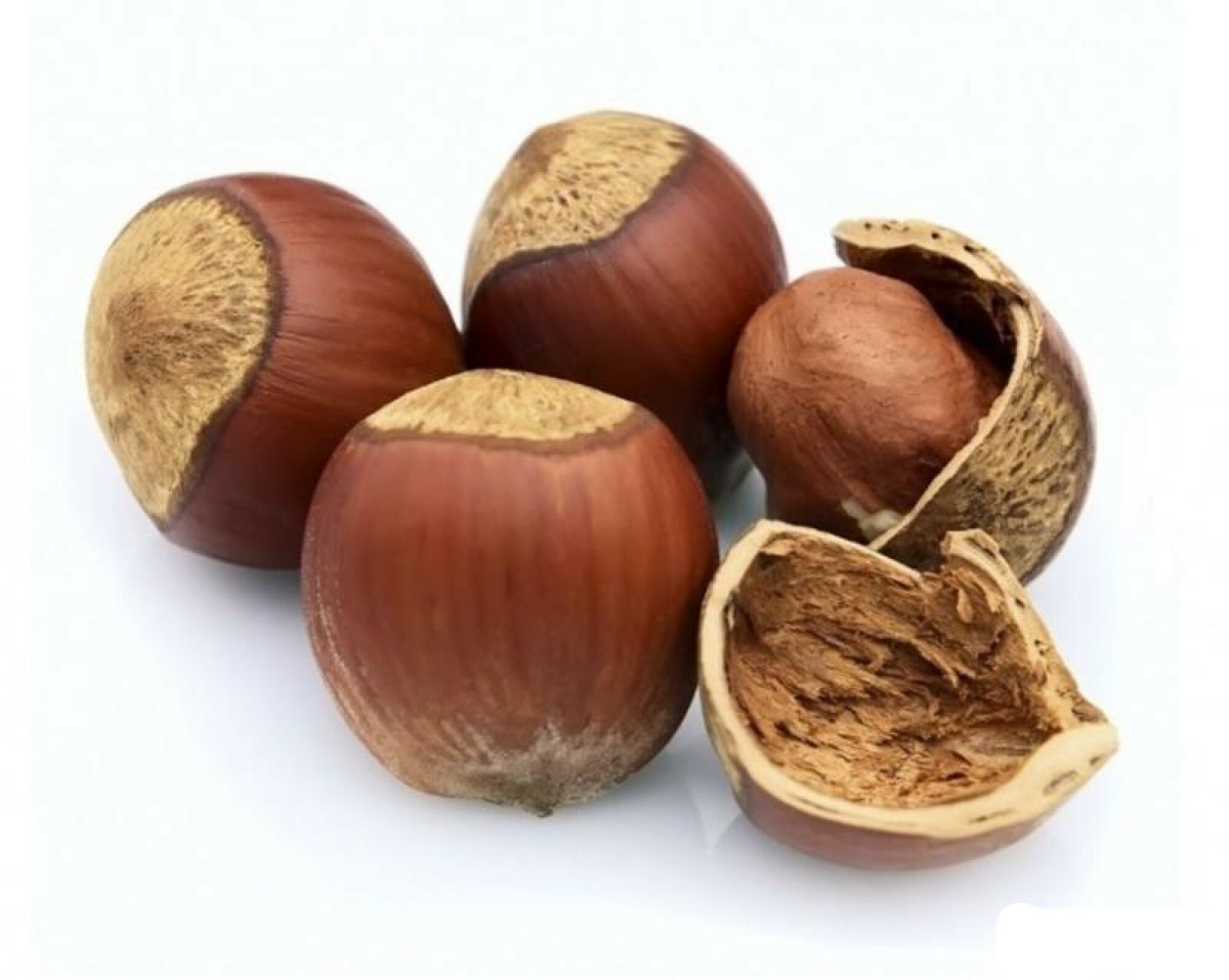 Фундук в скорлупе, сорт ХАН (Азербайджан, урожай 2025г) 500г