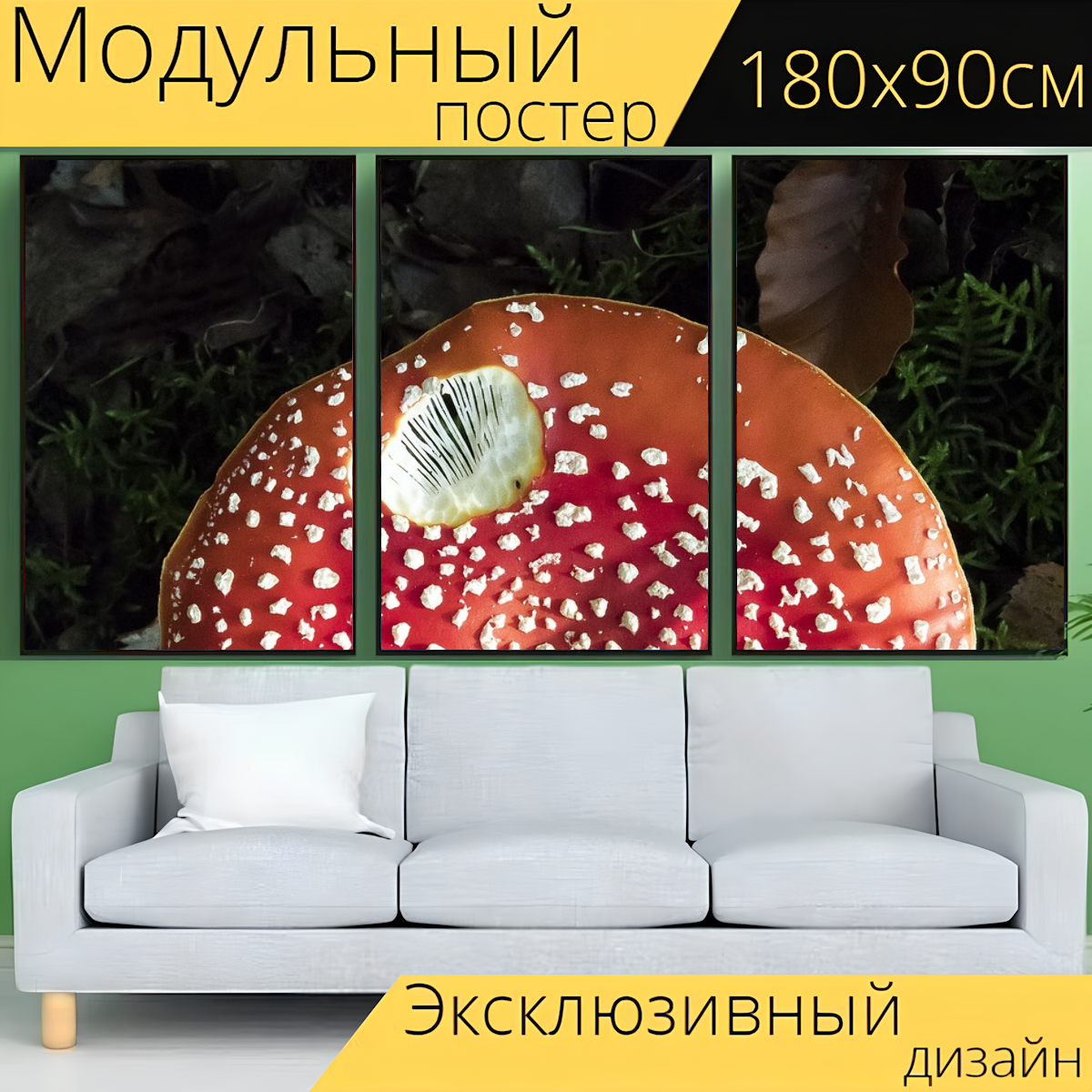Модульный постер "Поганки, мухомор мухомор, гриб" 180 x 90 см. для интерьера на стену в тубусе