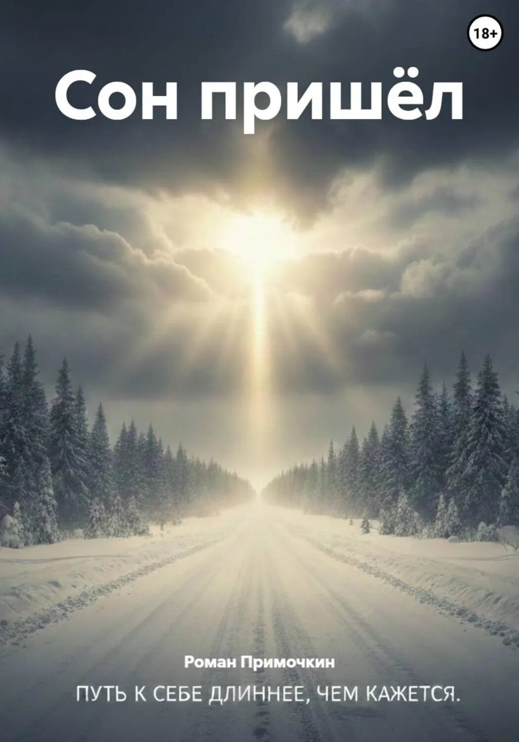 Сон пришёл [Цифровая книга]