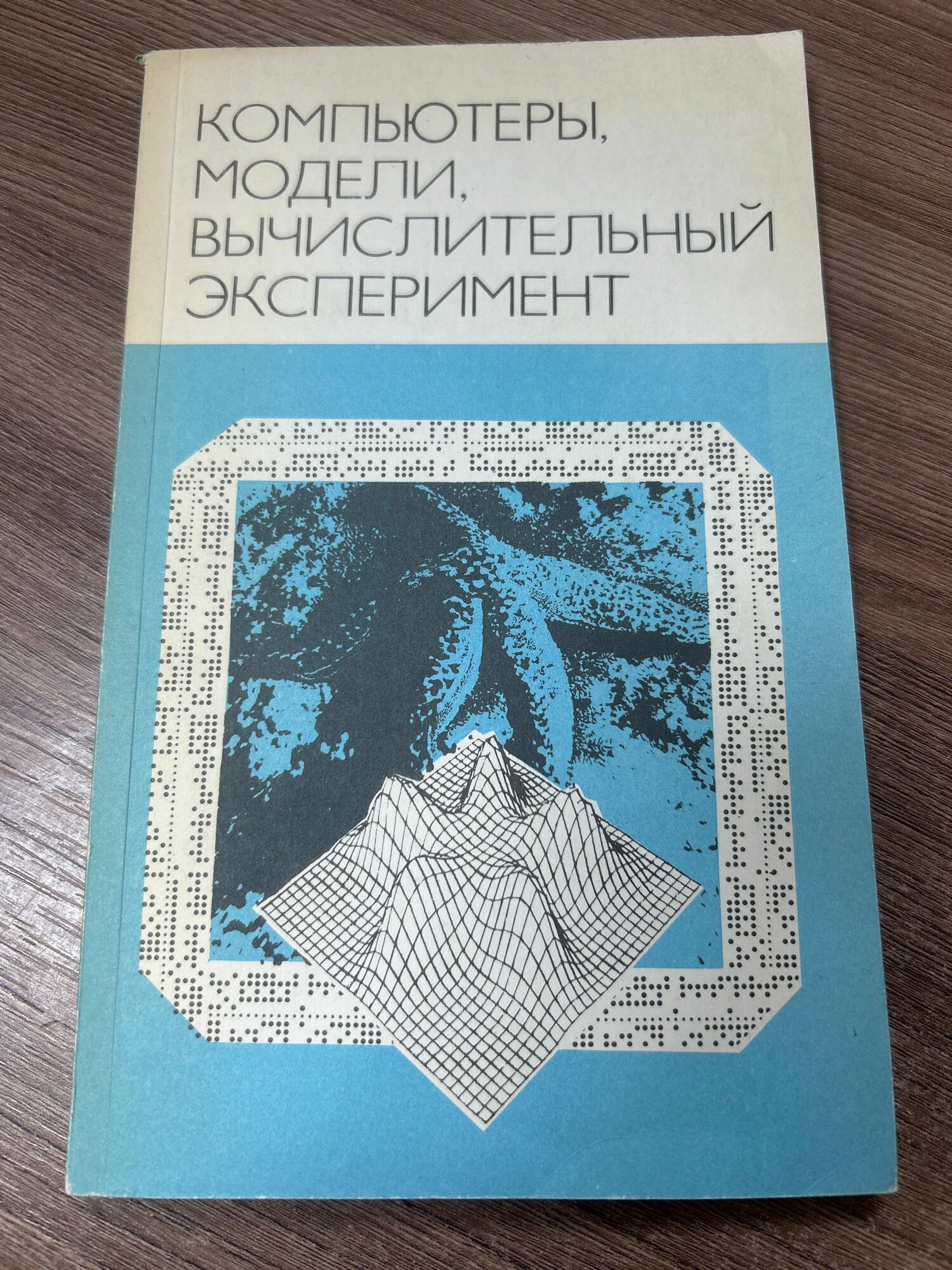 Компьютеры, модели, вычислительный эксперимент. Введение в информатику с позиций математического моделирования