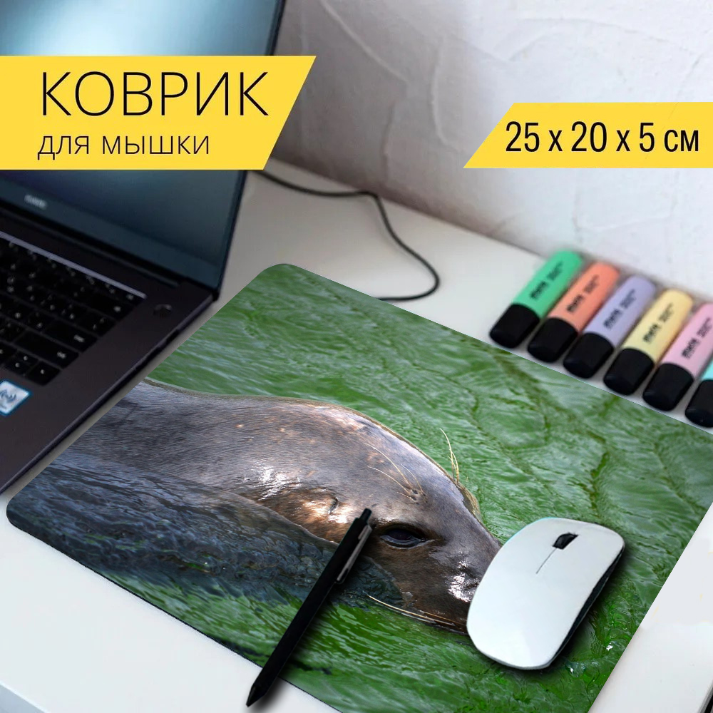 Коврик для мыши с принтом "Тюлень, ревун, плавать" 25x20см.