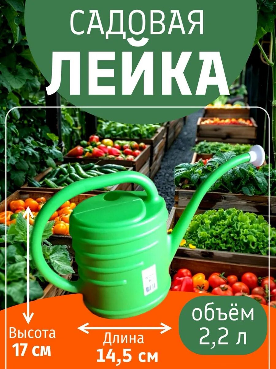 Лейка для полива рассады зеленая, высота 17 см длина 14,5 см