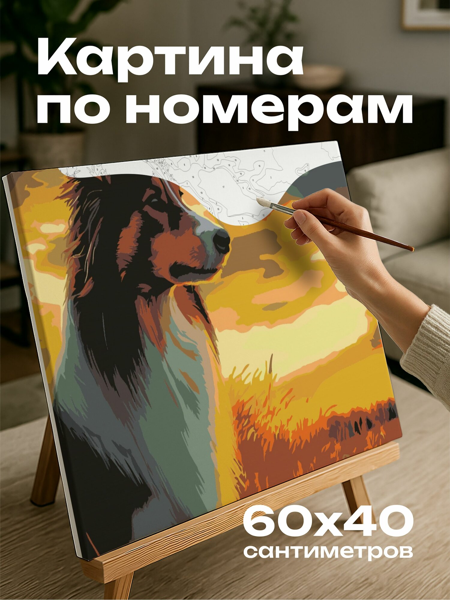 Картина по номерам 60x40 см, Колли, осанка, глаза, шерсть, свет заката, овчарка, сельская местность, цвета, компаньон