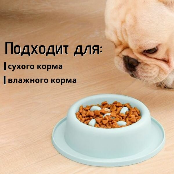 Миска для животных