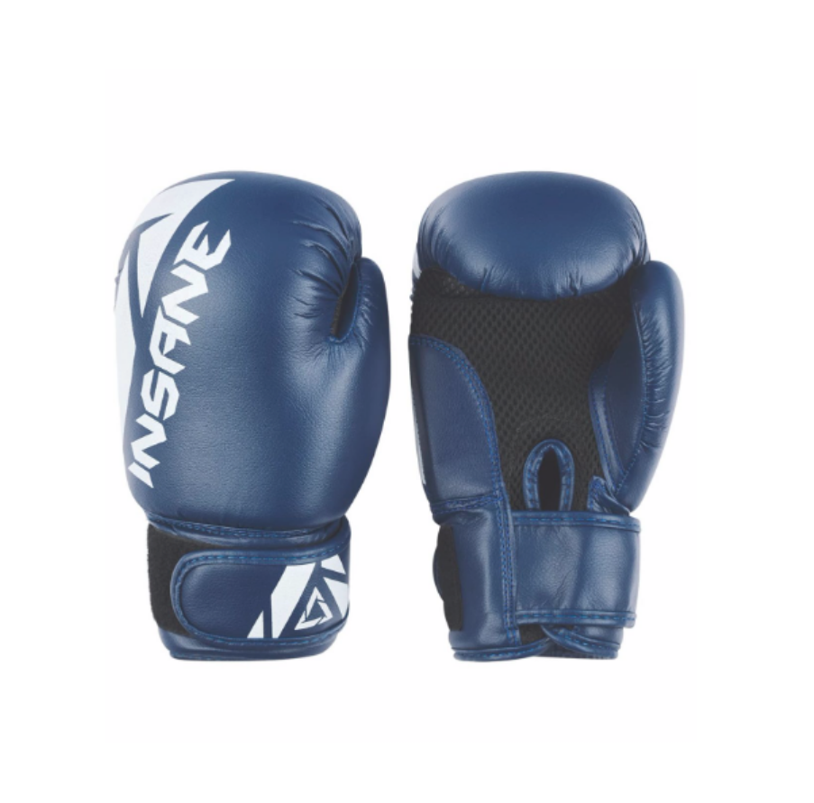 Перчатки боксерские INSANE MARS IN22-BG100, ПУ, синий, 10 oz