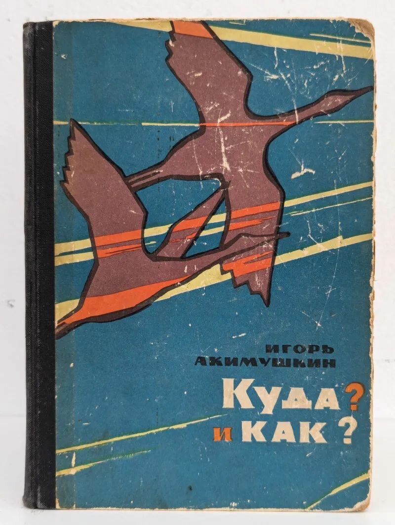 Куда? И как?
