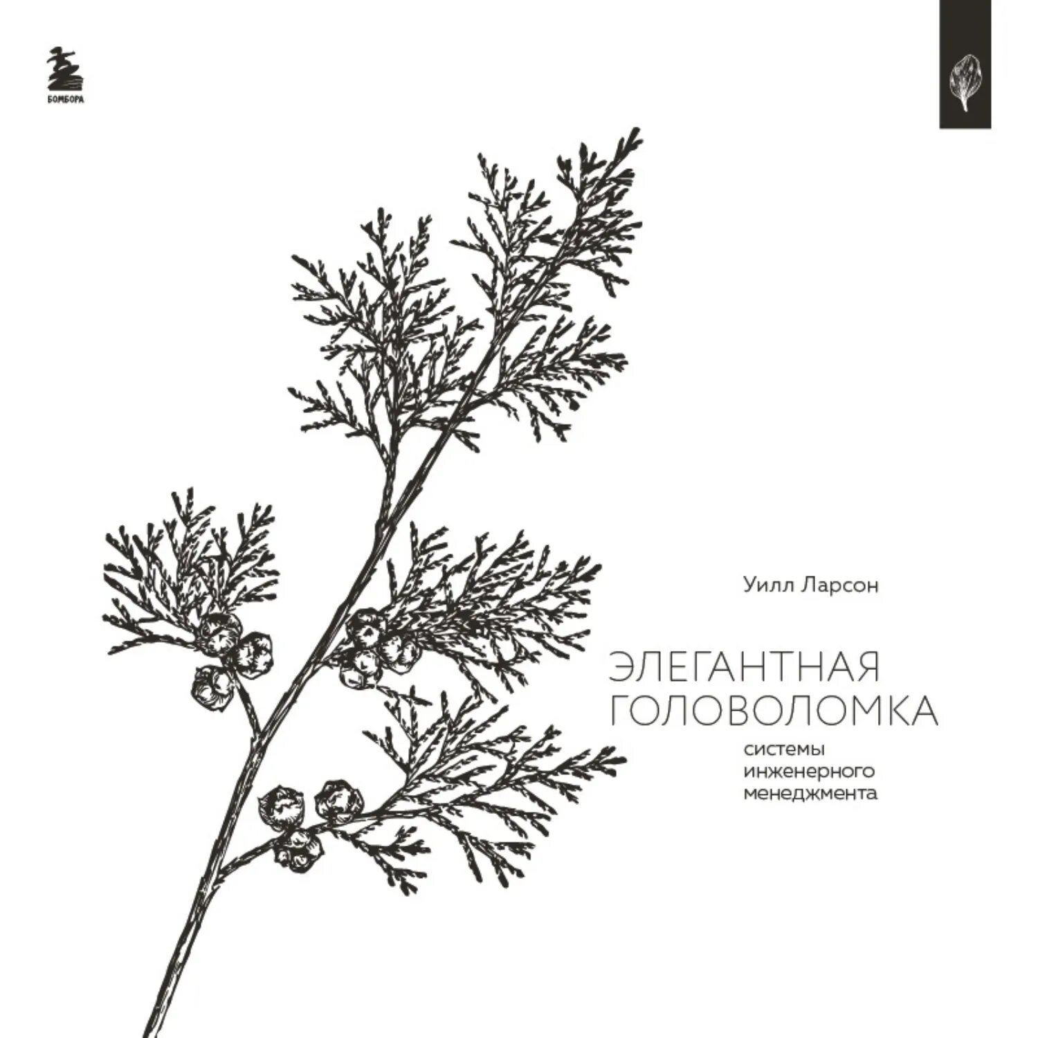 Элегантная головоломка. Системы инженерного менеджмента [Аудиокнига]