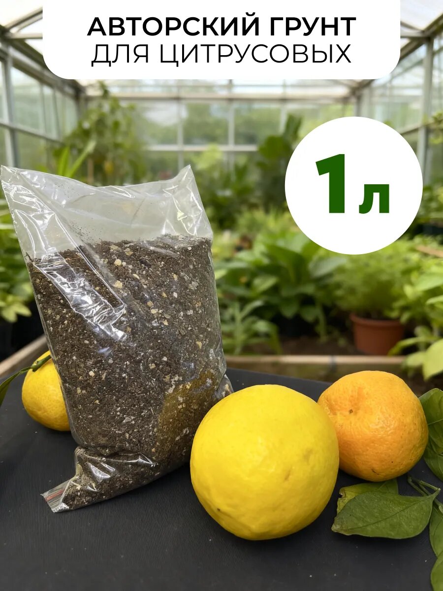 Авторский профессиональный грунт для цитрусовых 1 литр от Sinitsa_Leaf