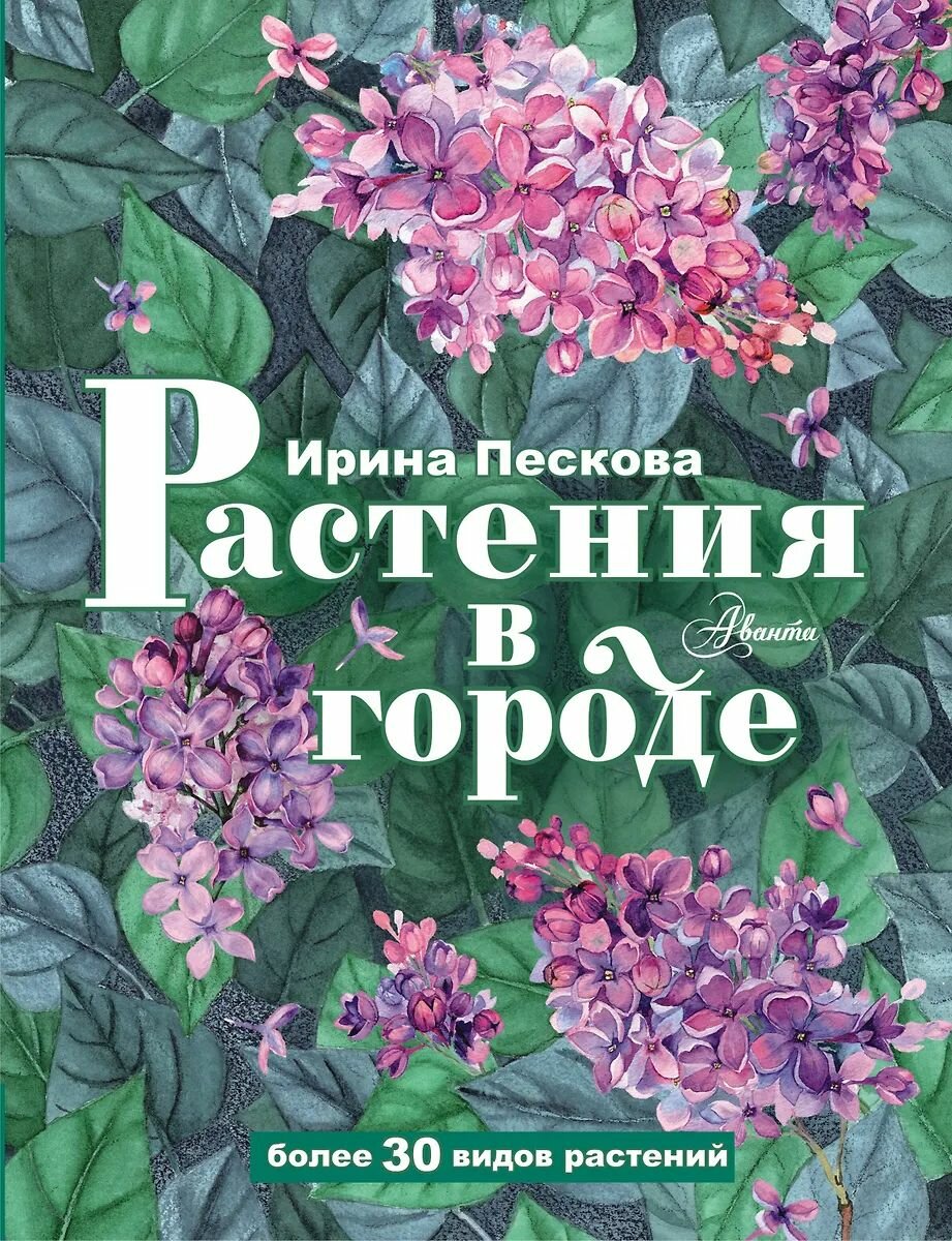 Путеводитель АСТ Растения в городе, Пескова И. М. 2023 г.