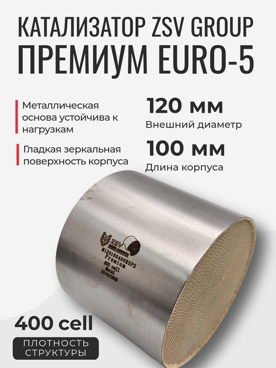 Полированный премиум катализатор Euro-5 120x100 (2 центра) 400 cell