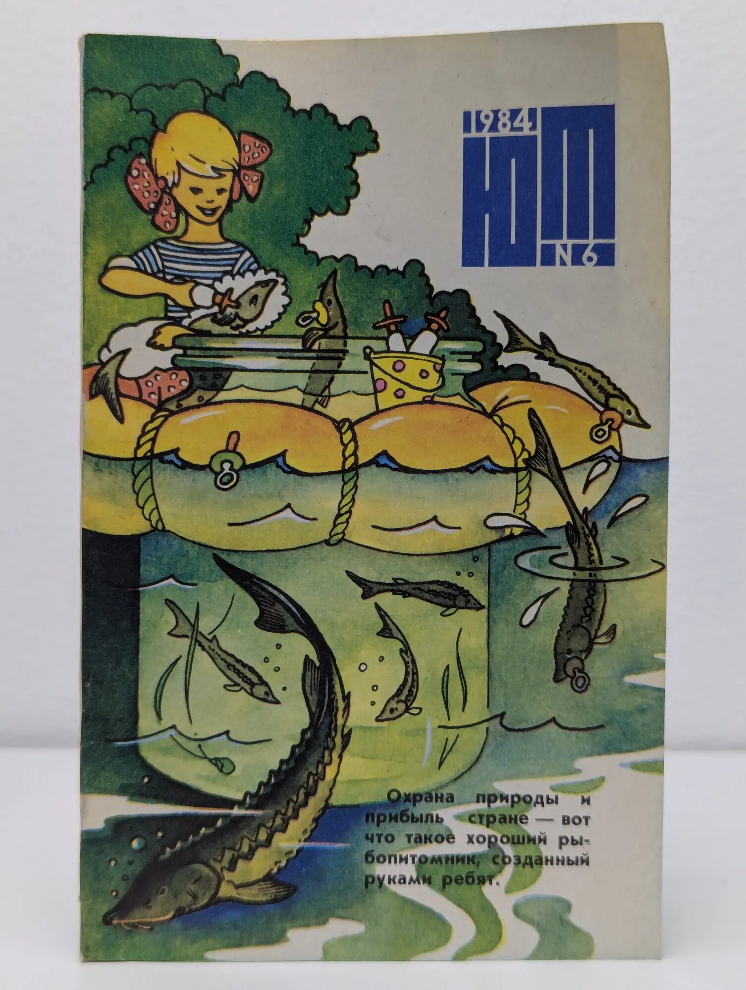 Юный техник. Выпуск № 6/1984 Сборник 1984