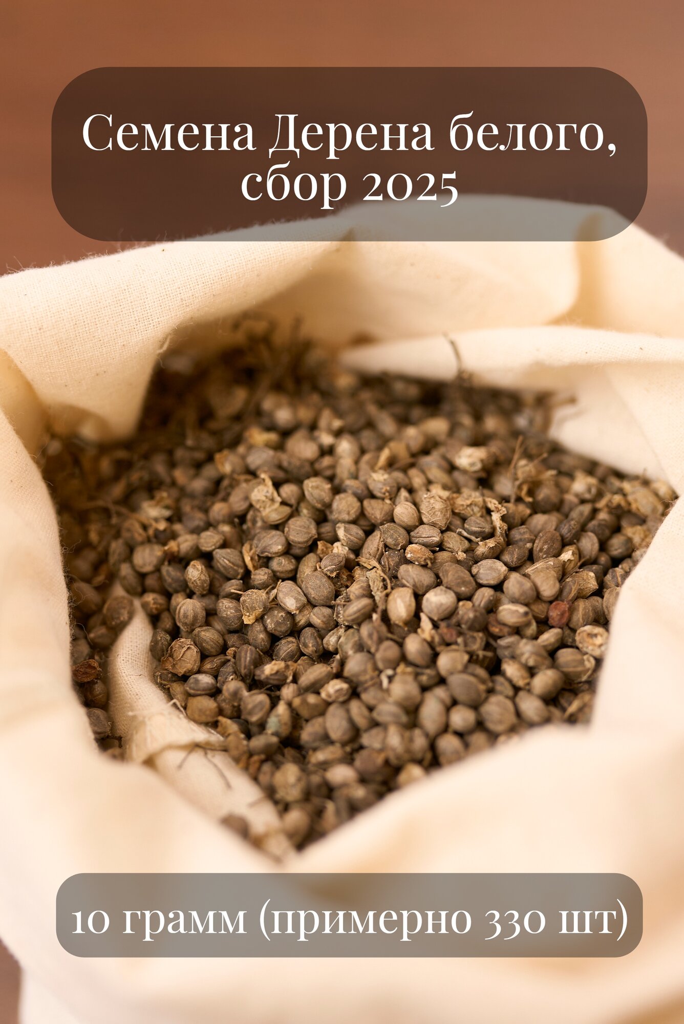 Семена кустарника Дерена белого, зимостойкого, неприхотливого, теневыносливого, 10 грамм (примерно 330 шт)