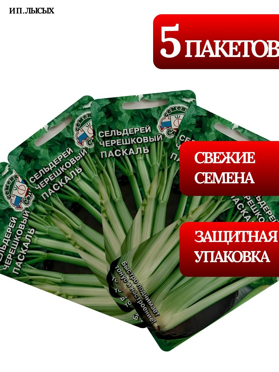 Семена Сельдерей "Паскаль"