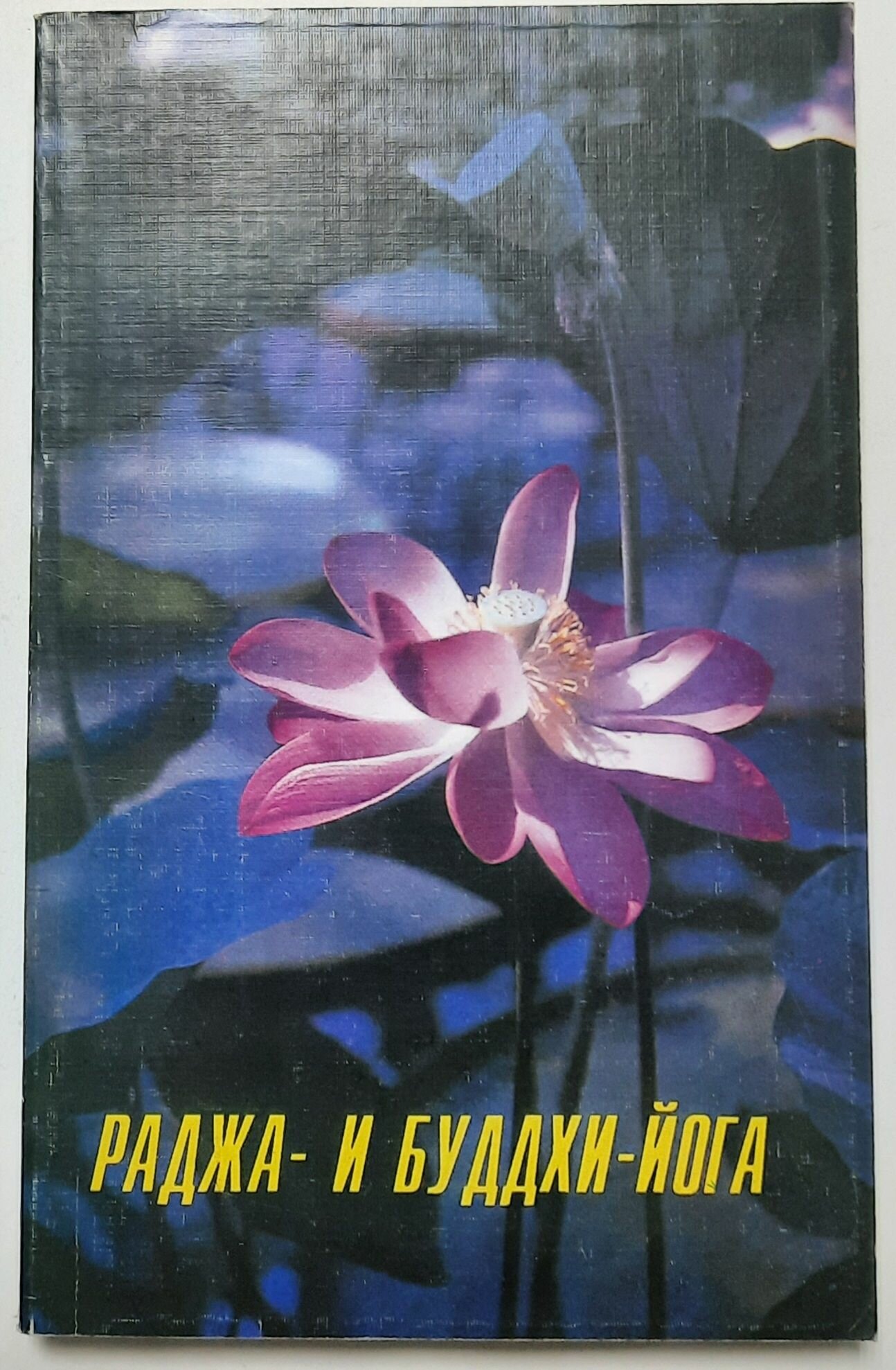 Раджа- и Буддхи- йога