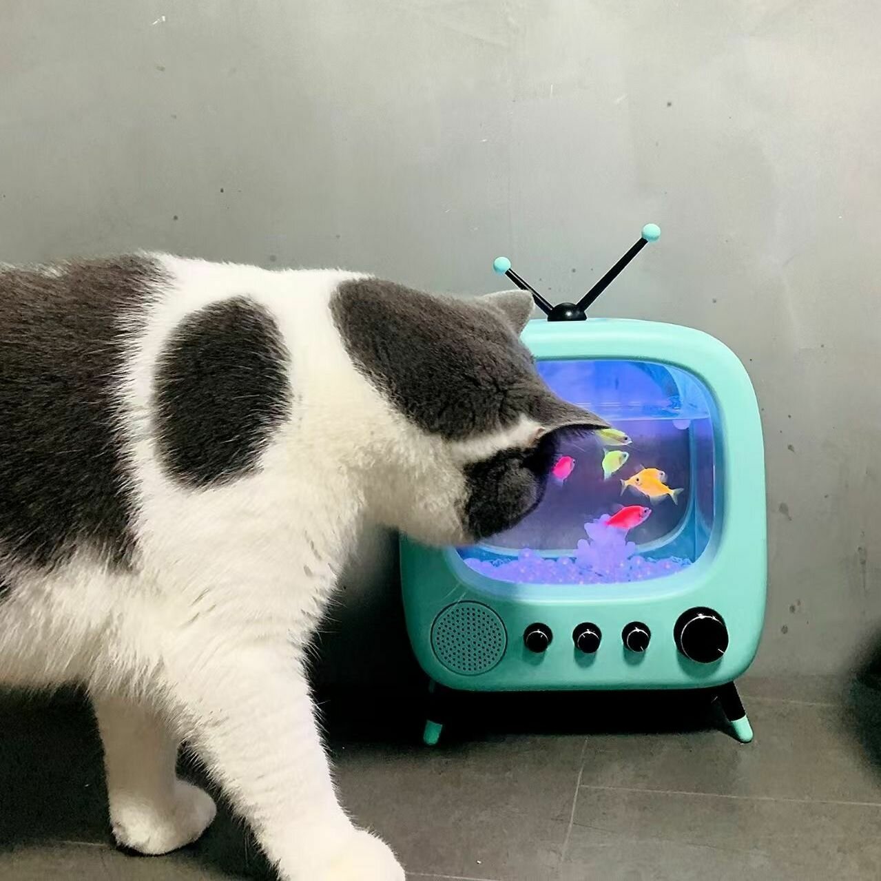 Ретро-аквариум в виде телевизора для кошек, милый мини-аквариум для домашних животных с подсветкой, акриловый аквариум для золотых рыбок и бетт.