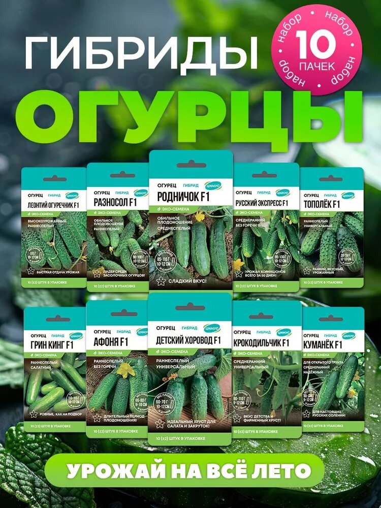 Семена огурцов Цимус, гибриды, раннеспелые, набор 10 сортов, 100 шт
