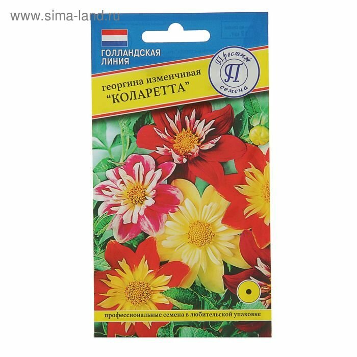 Семена цветов Георгина изменчивая "Коларетта" для бордюров и групповых посадок ( 12 семечек ) Престиж.