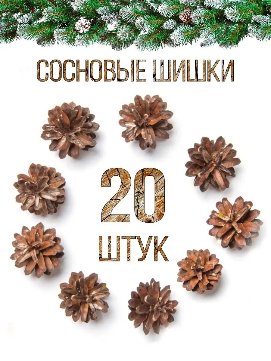 Хвойные сосновые шишки для поделок